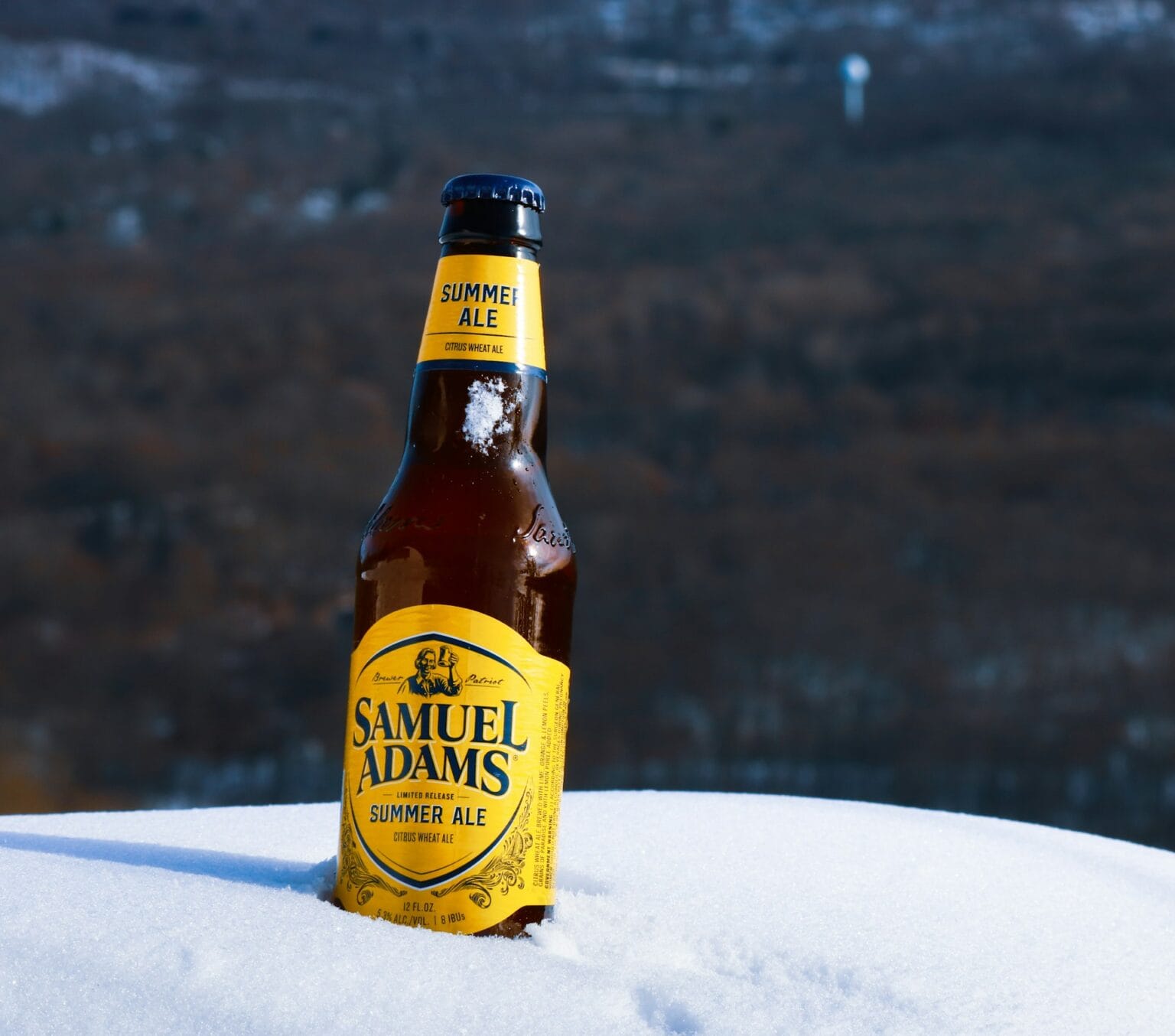 3 Best Low Alcohol Beers to Enjoy Without a Hangover